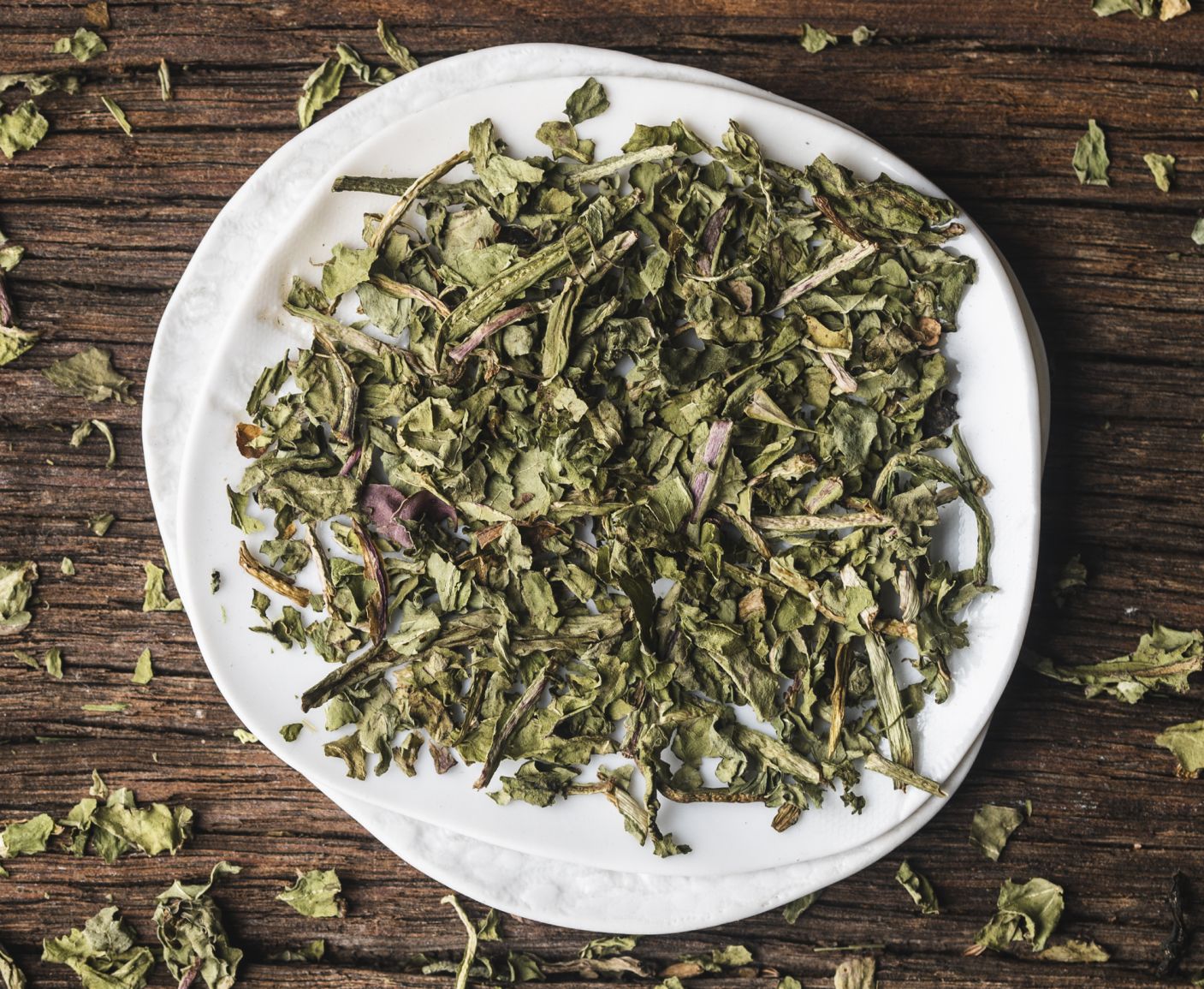 Die Geheimnisse von Löwenzahn Tee | DEMMERS TEEHAUS